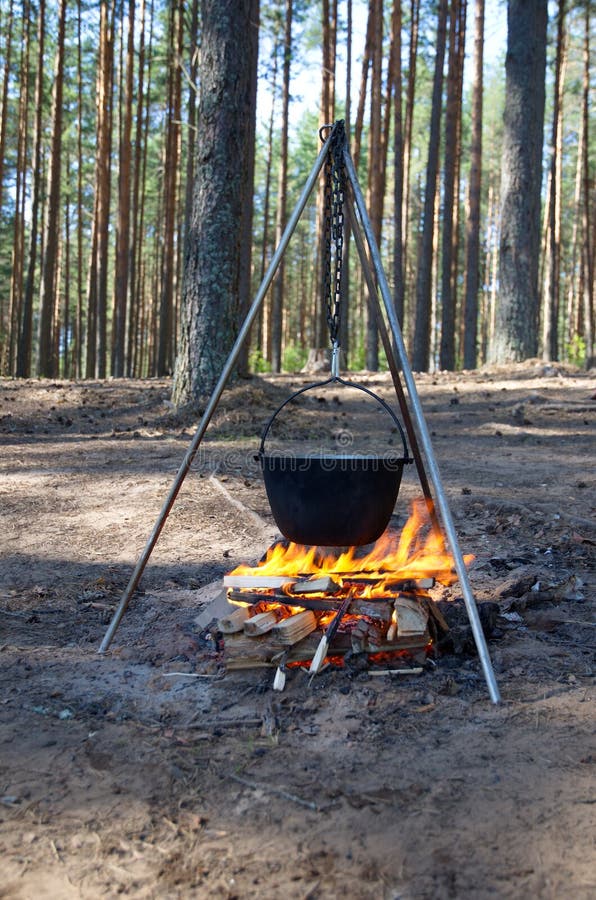 Tourist Pot on a Fire in a Pine Forest Stock Photo - Image of food ...