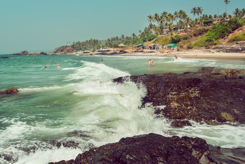 Tourist Relaxing in Waters of Ocean with Palm Tree Beach, Goa State ...