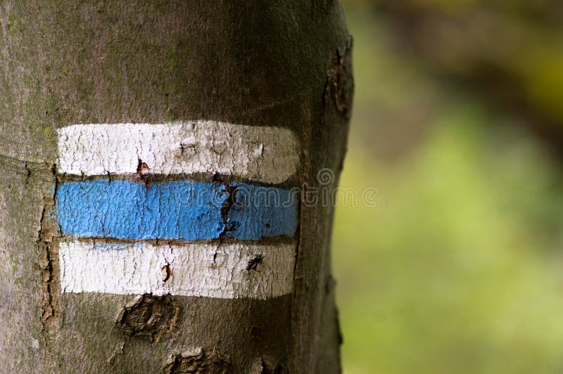 Tourist sign stock photo. Image of guide, direction, route - 55240898