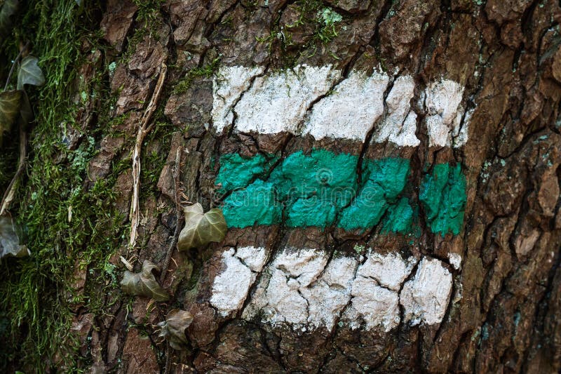 Tourist Sign on Tree Bark. Marking of Tourist Routes Stock Photo ...