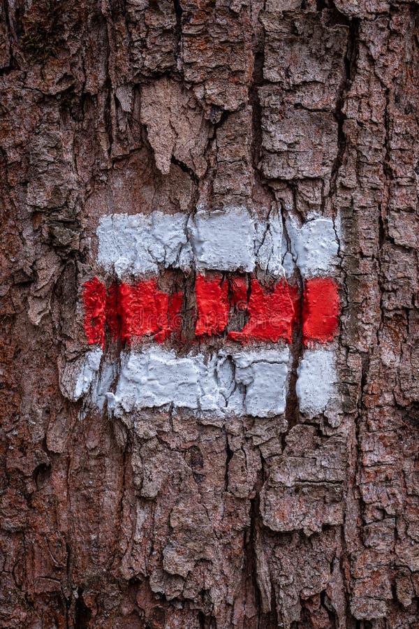 Tourist Sign on Tree Bark. Marking of Tourist Routes Stock Photo ...