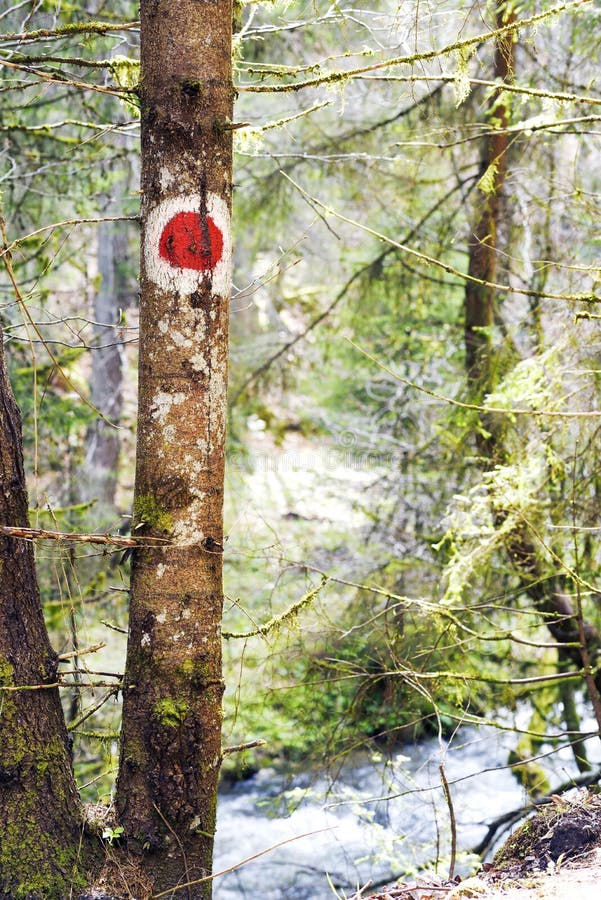 Tourist Sign Post Showing Various Destinations Stock Photo - Image of ...