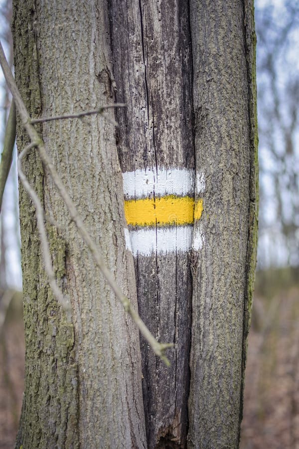 Tourist sign on the tree. stock image. Image of guide - 109359239