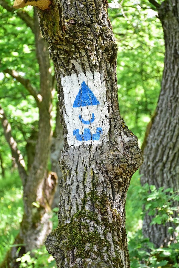 Tourist Sign on the Tree Trunk Stock Image - Image of tour, green ...