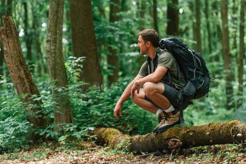 Tourist in Summer Forest. Conception of Exploration and Leisure Stock ...