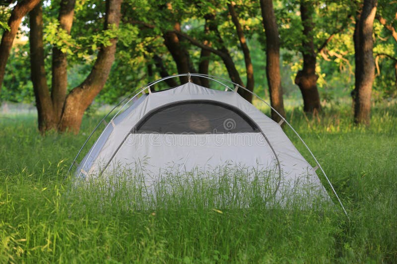 Tourist Tent in Green Grass in Forest Stock Photo - Image of recreation ...