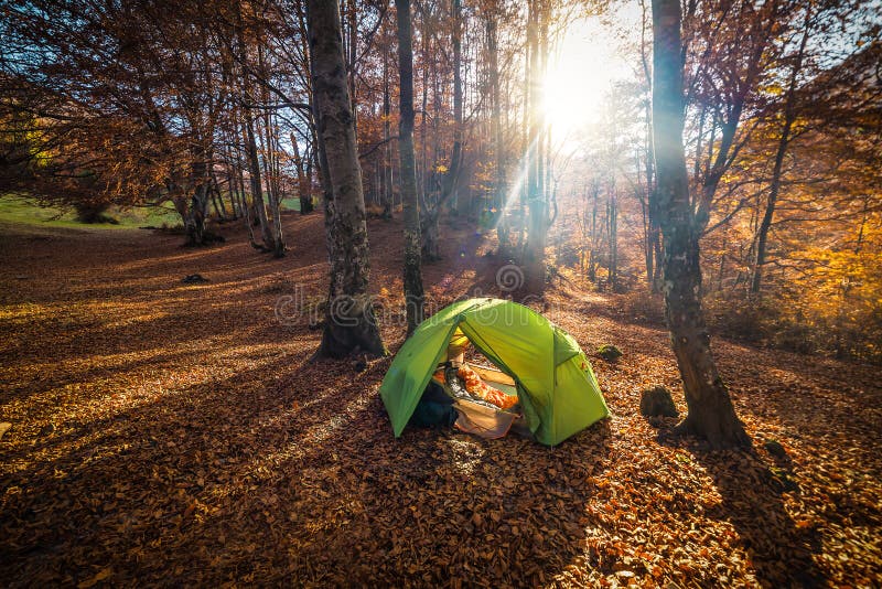 Tourist Tent in Wild Forest at Sunset Stock Photo - Image of campsite ...