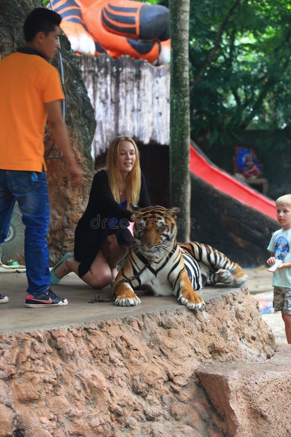 Tourist with tiger editorial photography. Image of tourist - 57582347