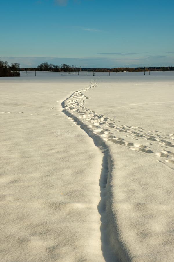 Tourist Trail in Winter Snow Stock Photo - Image of boot, cloud: 219618030