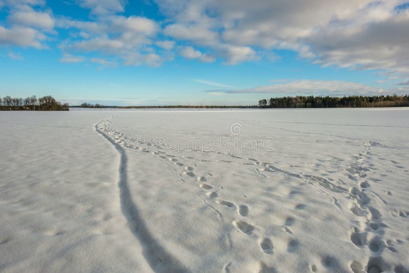 Tourist Trail in Winter Snow Stock Image - Image of plant, cloud: 219618037