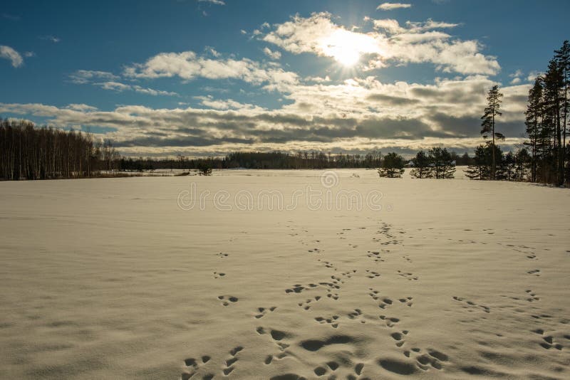 Tourist Trail in Winter Snow Stock Photo - Image of wave, plain: 219618068