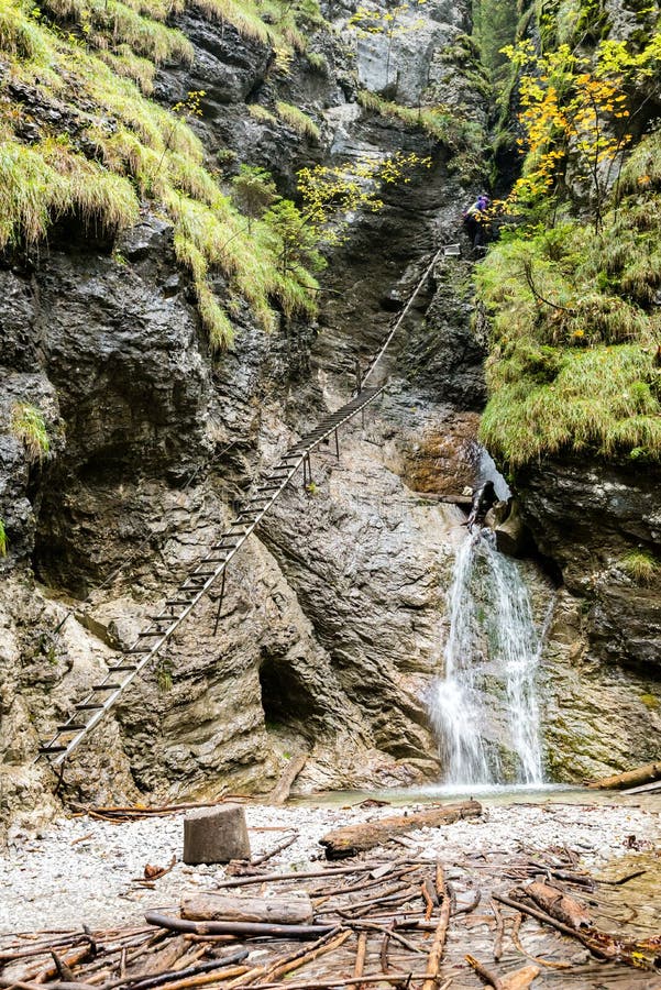 Tourist trail in woods stock photo. Image of spring, refreshing - 80862368