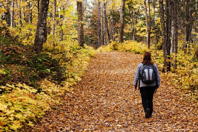 Tourist walking in forest stock image. Image of jacques - 34230243