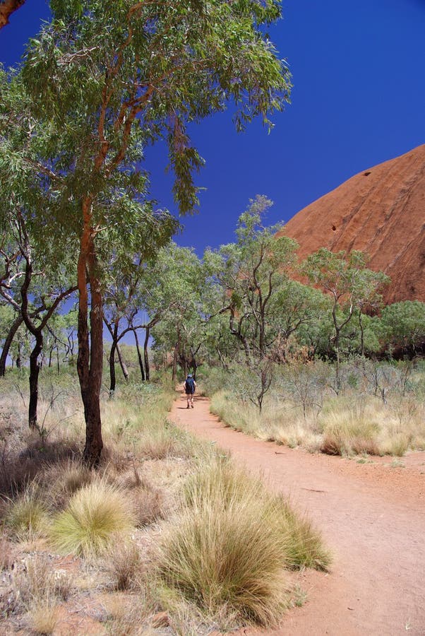Uluru Visitors on Base Walk Editorial Photo - Image of central, area ...