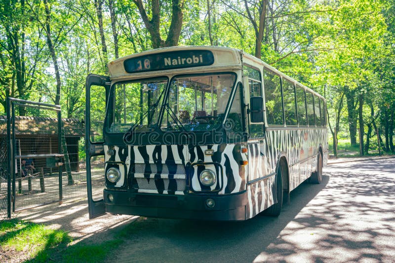 Touristic Bus with Zebra Pattern Stock Image - Image of traffic ...