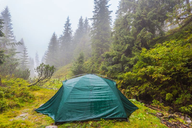 Touristic camp in a forest stock photo. Image of journey - 78827064