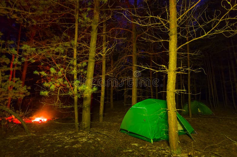 Touristic Camp with Tent and Fire in a Night Forest Stock Photo - Image ...