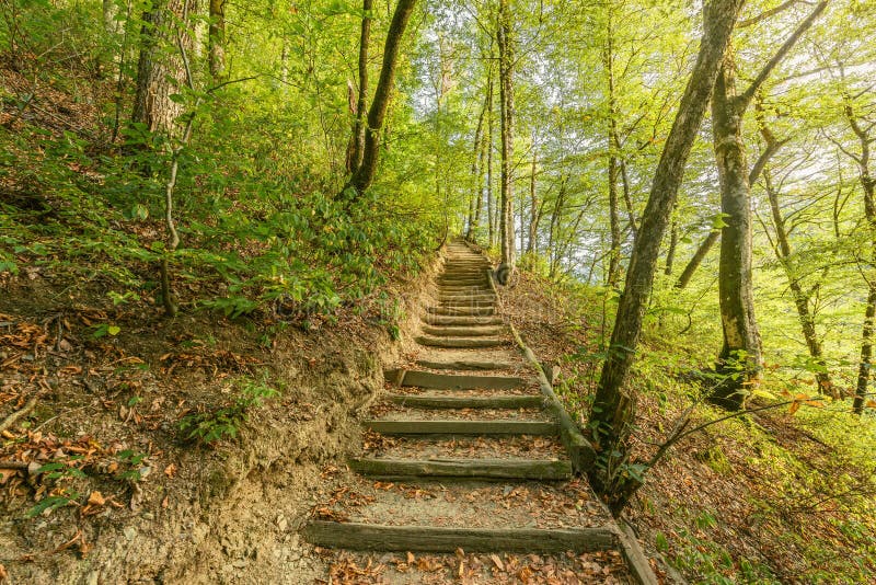 Touristic Path in the Mountain Forest. Stock Image - Image of nature ...