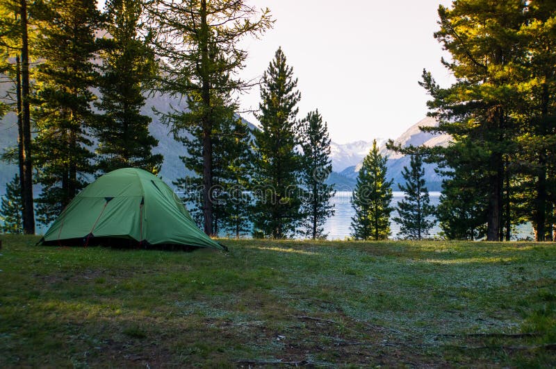 Touristic Tent in a Forest. Tent Camping in the Woods Stock Image ...