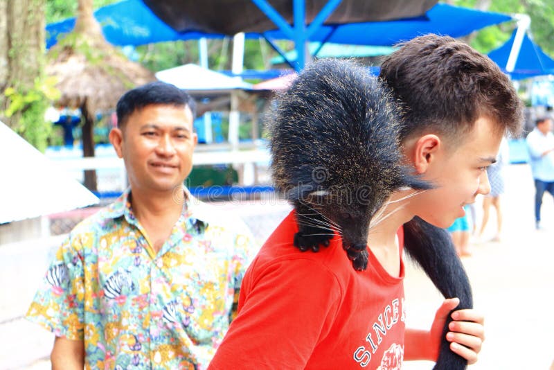 Tourists and bearcat editorial photography. Image of bearcat - 57232162