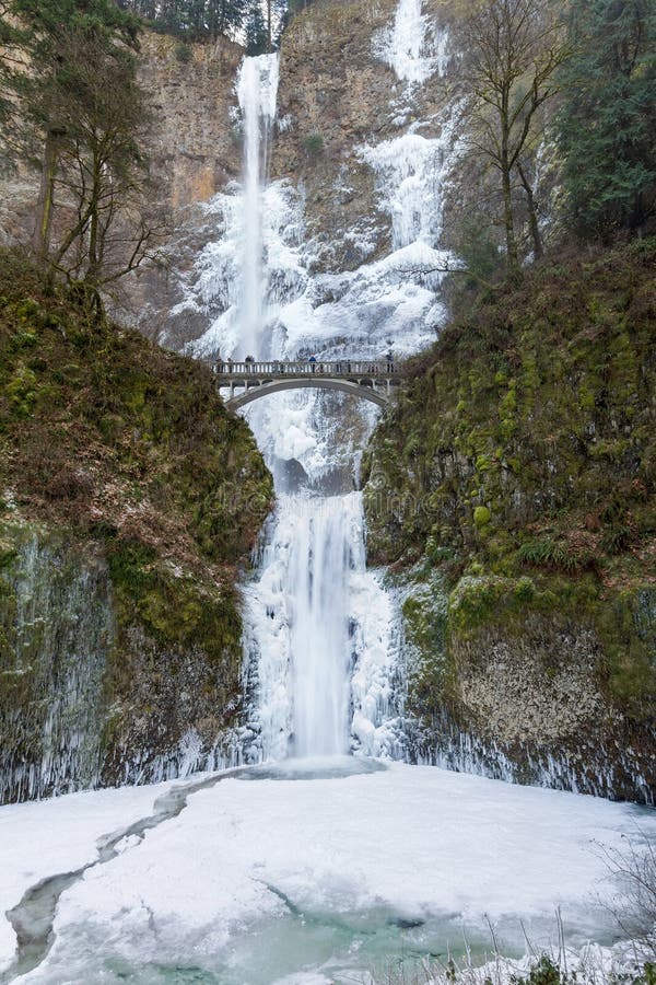 Multnomah Falls in Spring stock image. Image of trees - 13851737