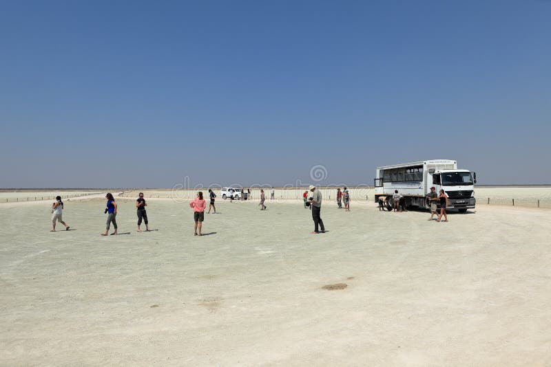 Etosha salt pan stock photo. Image of field, bright, panorama - 17879636