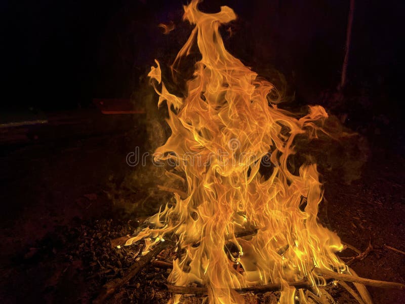 Tourists Lit a Bonfire in the Forest at a Rest Stop Stock Photo - Image ...