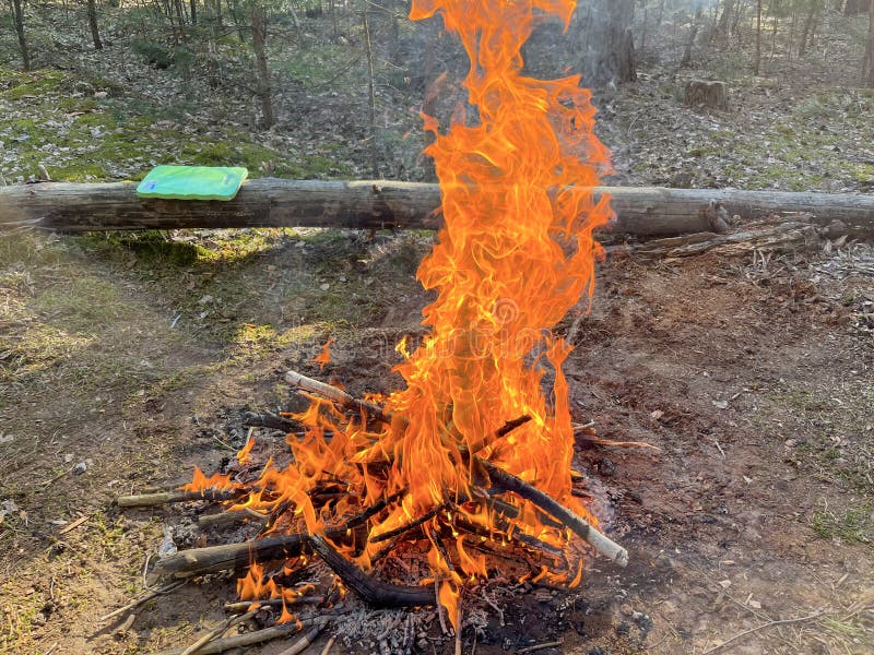 Tourists Lit a Bonfire in the Forest at a Rest Stop Stock Image - Image ...