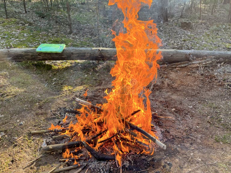 Tourists Lit a Bonfire in the Forest at a Rest Stop Stock Image - Image ...