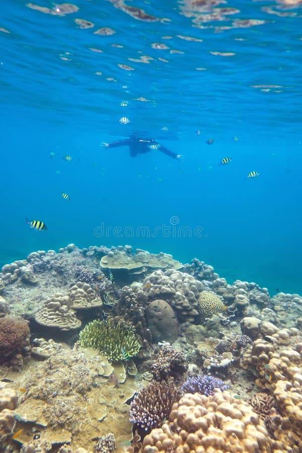 Tourists Playing at the Sea in an Island in Myanmar Stock Photo - Image ...