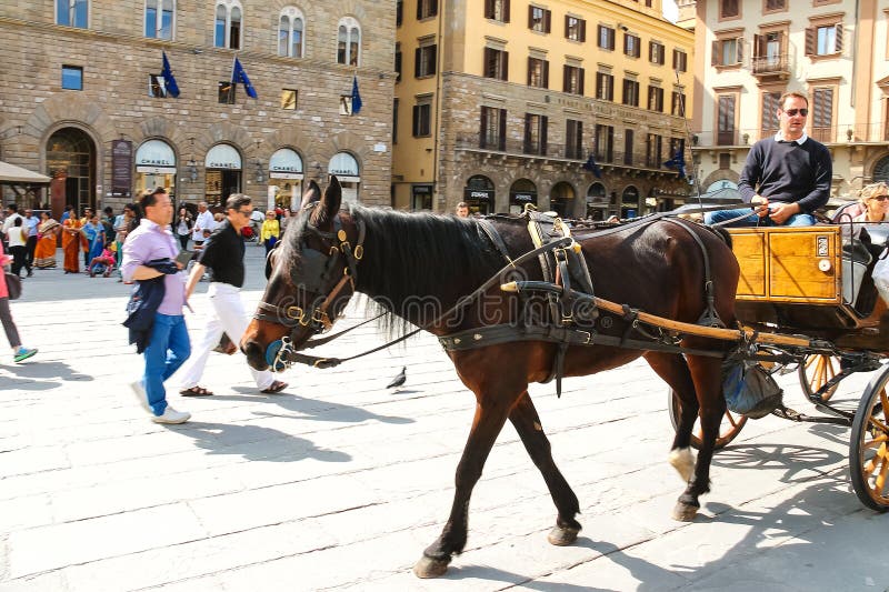 Tourists Ride on a Carriage Pulled by a Horse in Florence, Italy ...