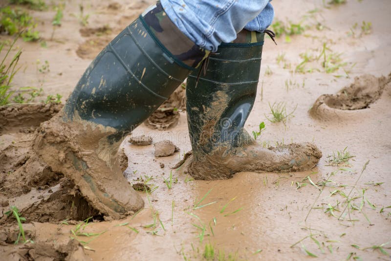 1,410 Muck Soil Stock Photos - Free & Royalty-Free Stock Photos from ...