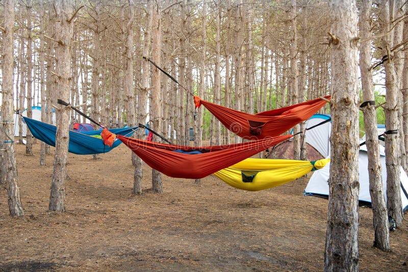 Tourists sleep in hammocks stock photo. Image of paradise - 304850108