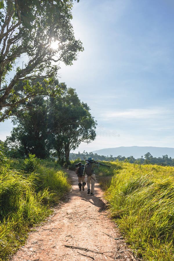 Tourists are Walking on the Nature Trail Stock Image - Image of forest ...