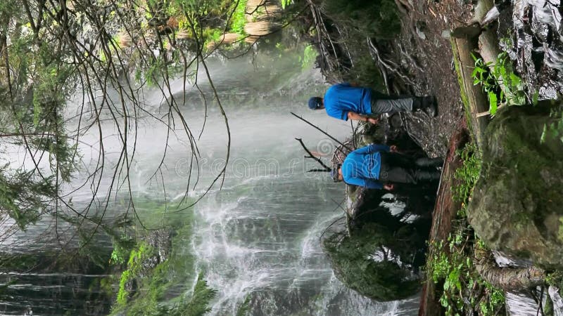 Tourists Watch in Awe As a Grand Waterfall Flows through the Untamed ...