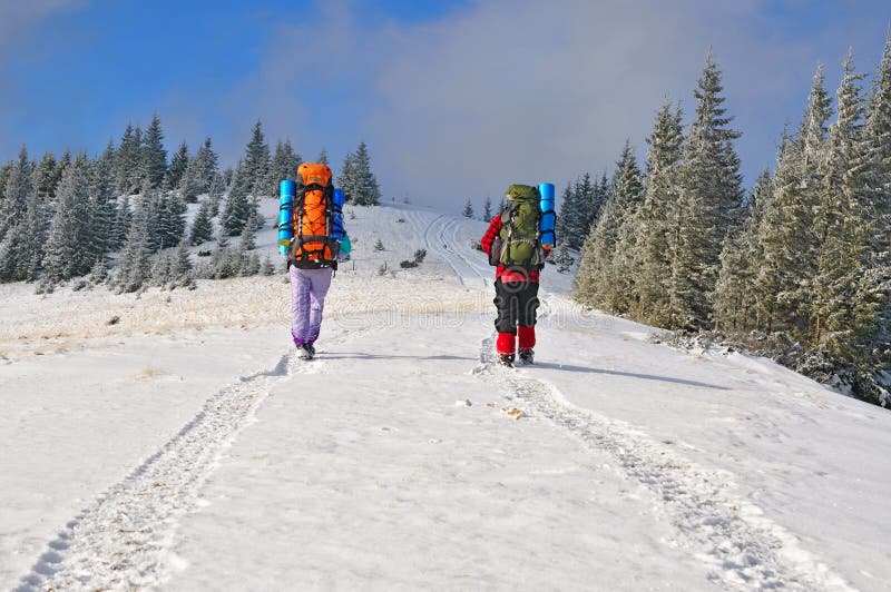Tourists on Wood Winter Road. Stock Image - Image of track, winter ...