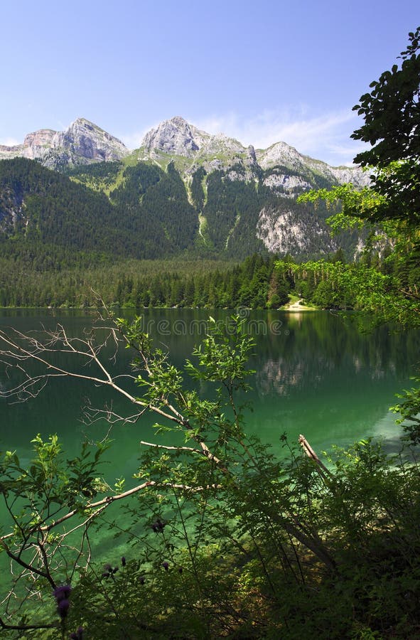 Tovel lake, italian alps stock photo. Image of forest - 15148542
