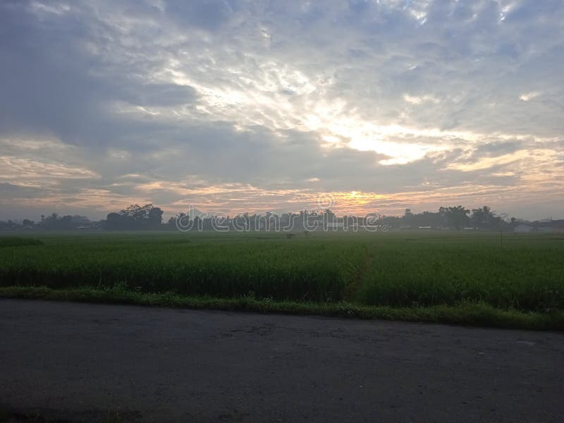 Towards Evening Rice Fields Mountains Stock Photos - Free & Royalty ...