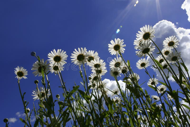 Towards the Light stock photo. Image of light, blue, backgrounds - 179988