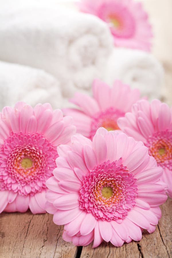Towels and flowers for spa stock photo. Image of hygiene - 22892282
