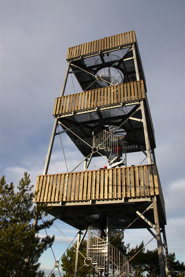 Rat stock image. Image of isolated, nose, hairy, mammal - 3551345