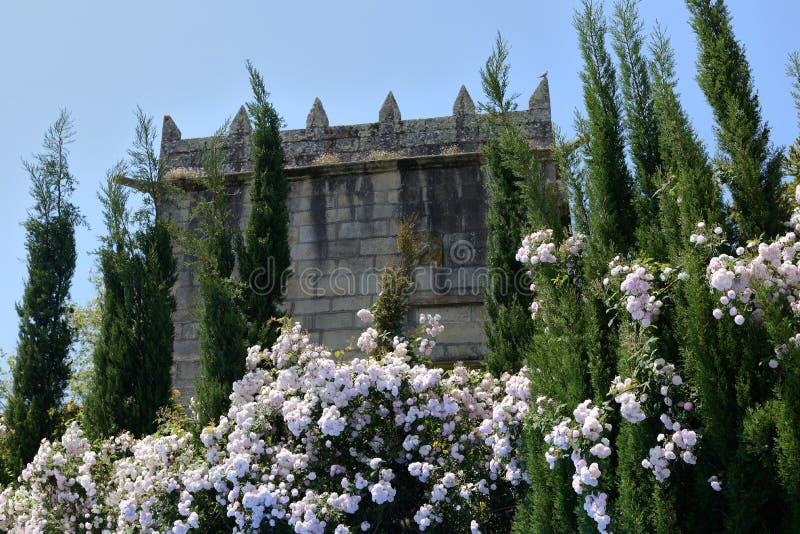Tower of an Ancient Castle Surrounded by Flowers Stock Image - Image of ...