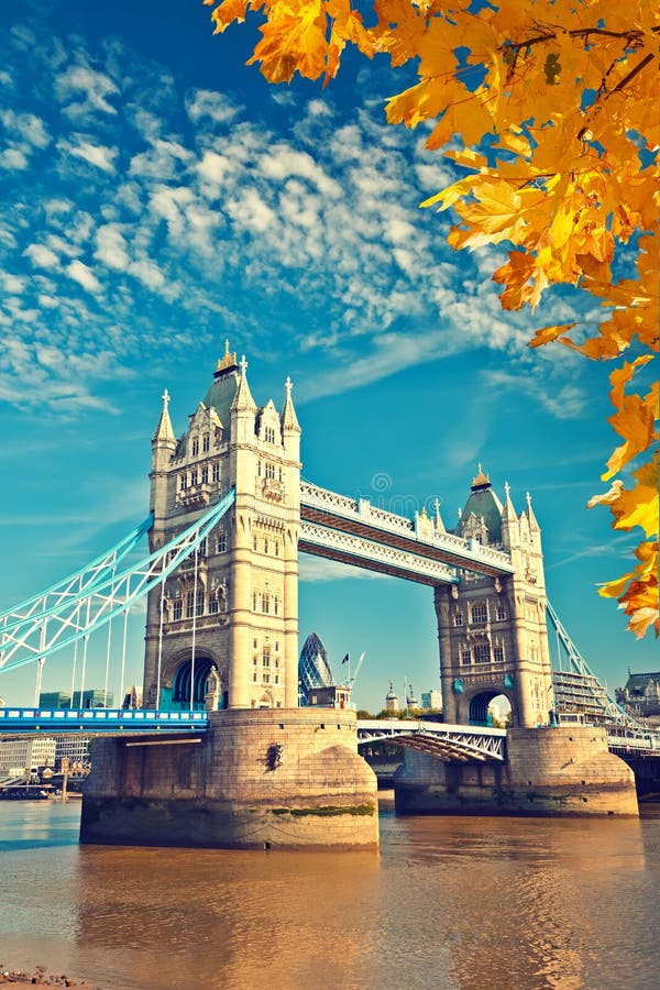 Tower bridge in London stock image. Image of fall, foliage - 59519643