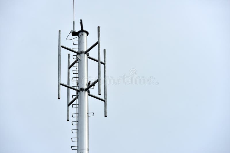 Tower Construction To Install the Antenna of the Wireless Communication ...
