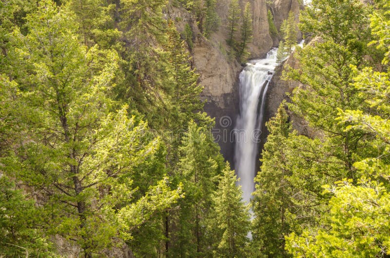 Tower Fall Blurred Waterfalls in the Middle of Green Trees and ...