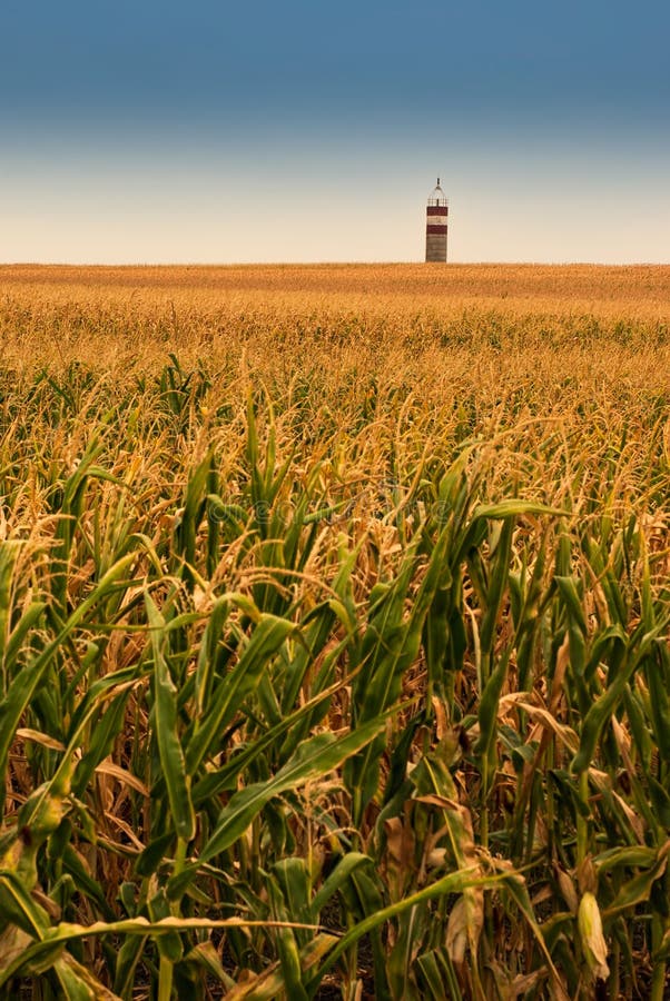 Tower on field stock image. Image of biofuels, harvest - 52147333