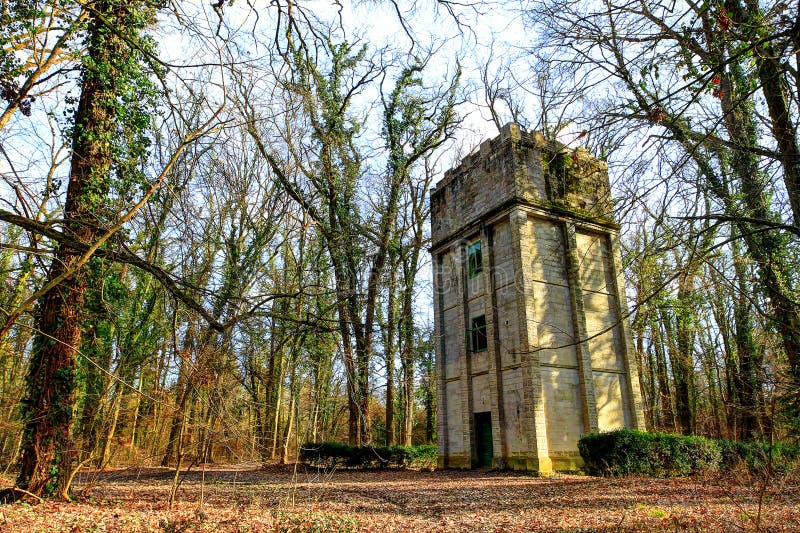 Tower in the forest stock image. Image of forest, landscape - 38869953