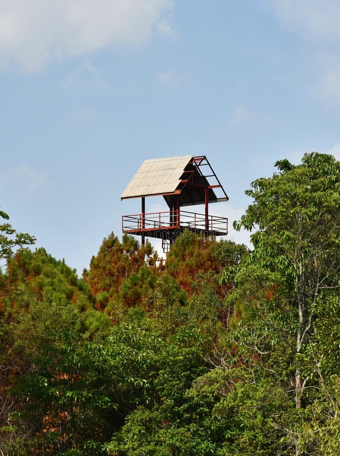 Tower forest - Tree house stock image. Image of dream - 72285869