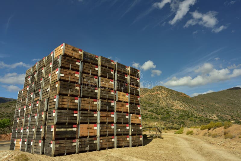 A Tower of Fruit Crates Stacked on an Open Field Stock Image - Image of ...