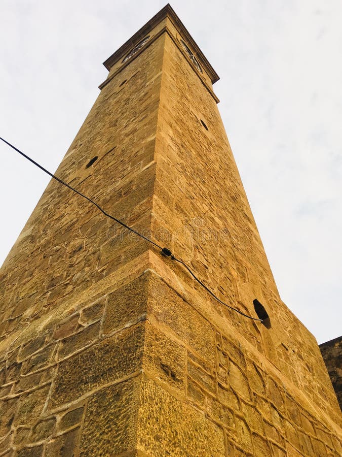 Most Beautiful Bird Wallpapers Stock Photos - Free & Royalty-Free Stock ...